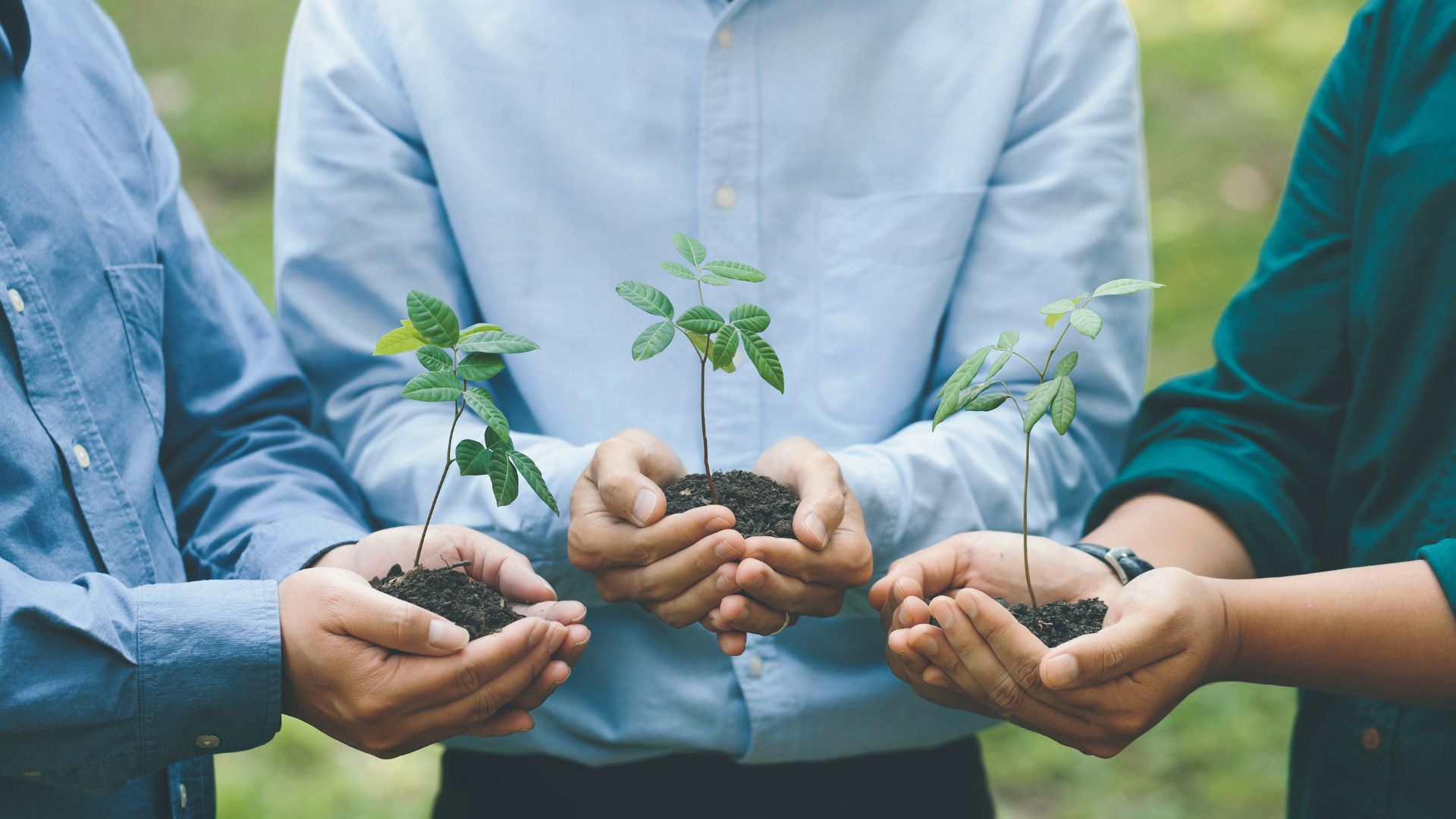 Who we support - ELFIN Consulting