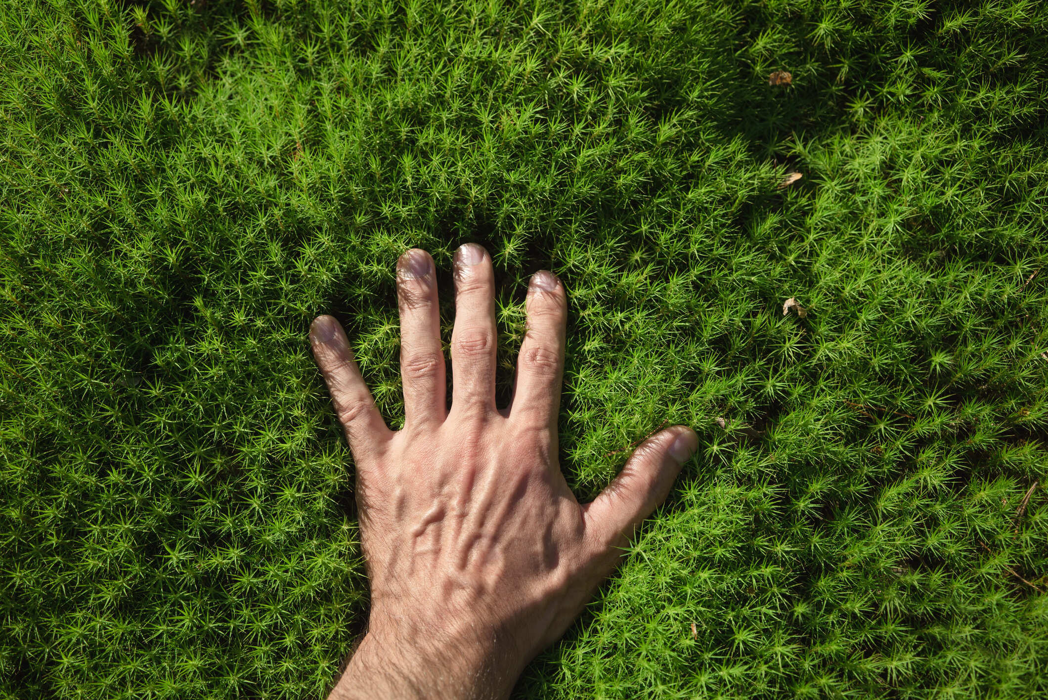Unveiling the Handprint Approach - ELFIN Consulting